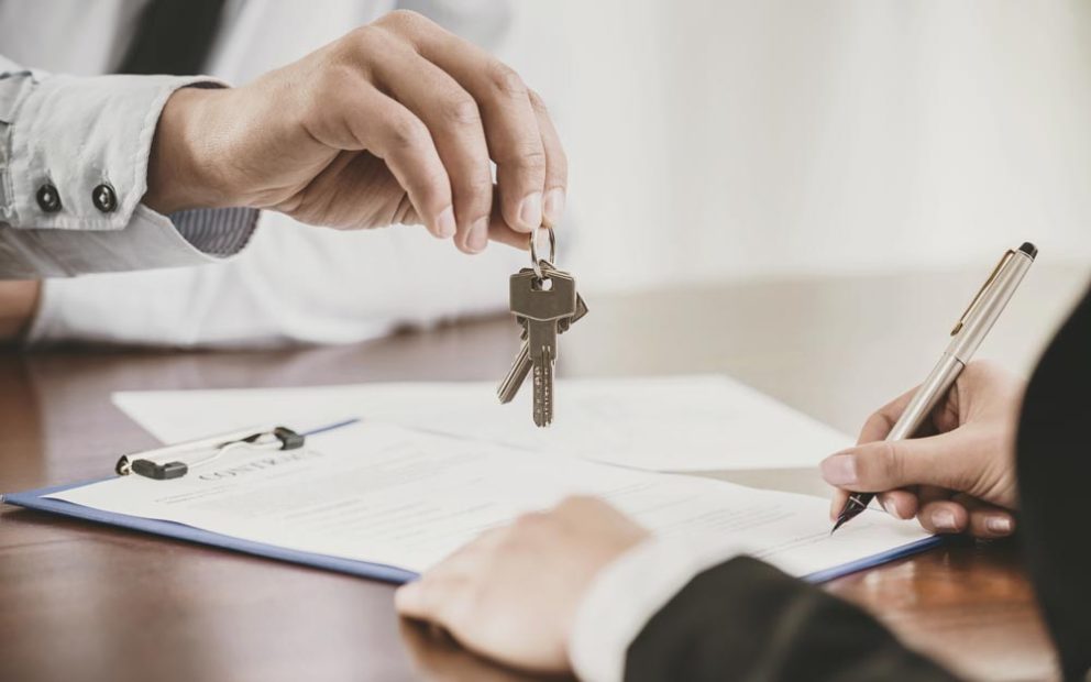 Our Notary Services | Negretes Notaries